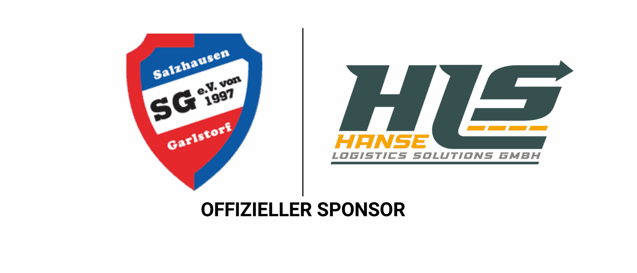 Logistikunternehmen in Hamburg- HLS GmbH